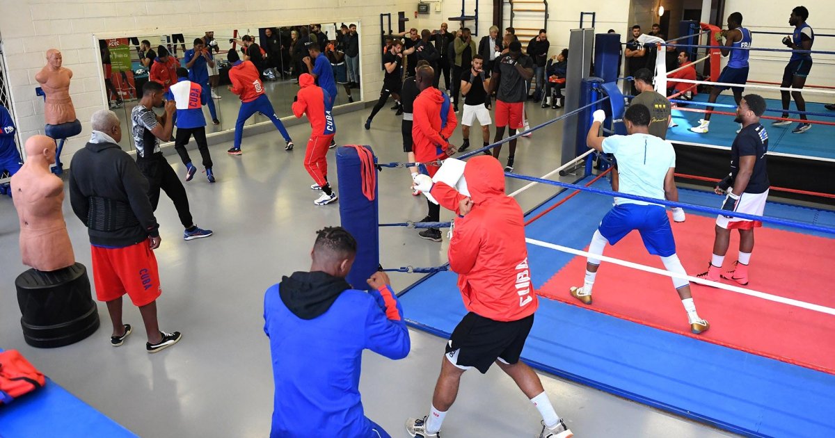 Boxe cubaine junior à l’honneur - Association Cuba Coopération France